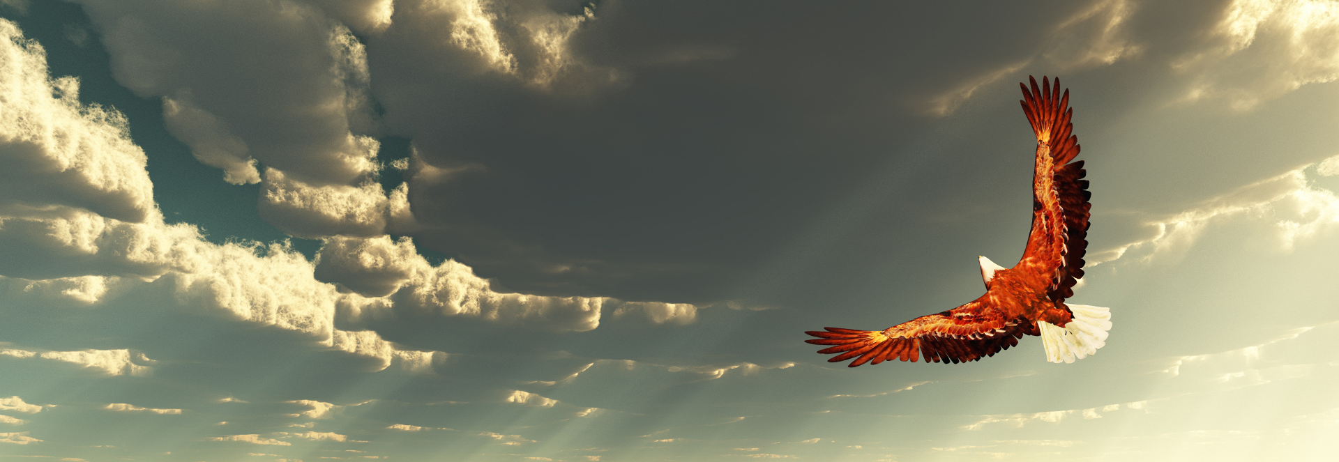 NIFLA | National Institute of Family and Life Advocates